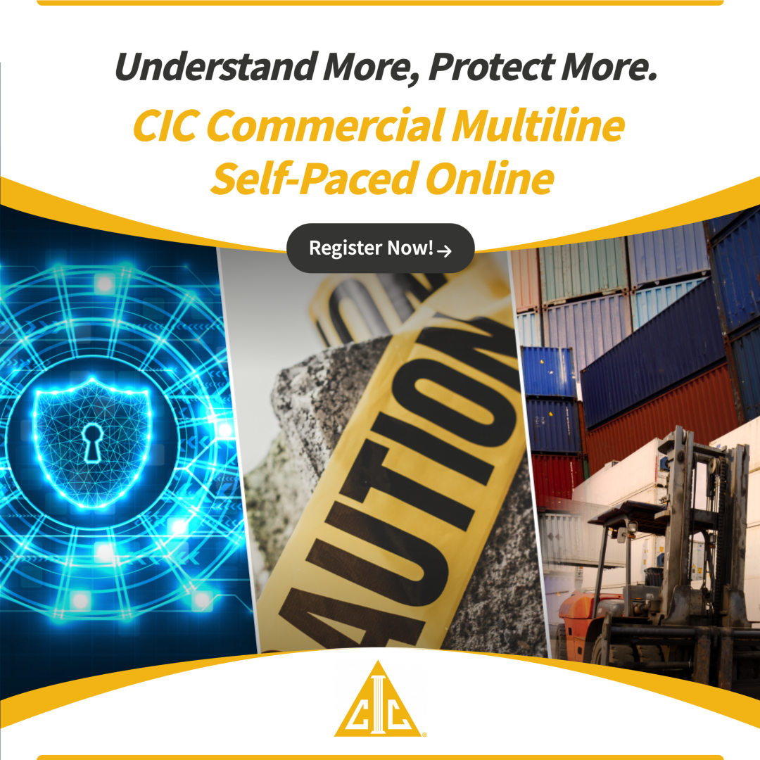 Risk & Insurance Education Alliance