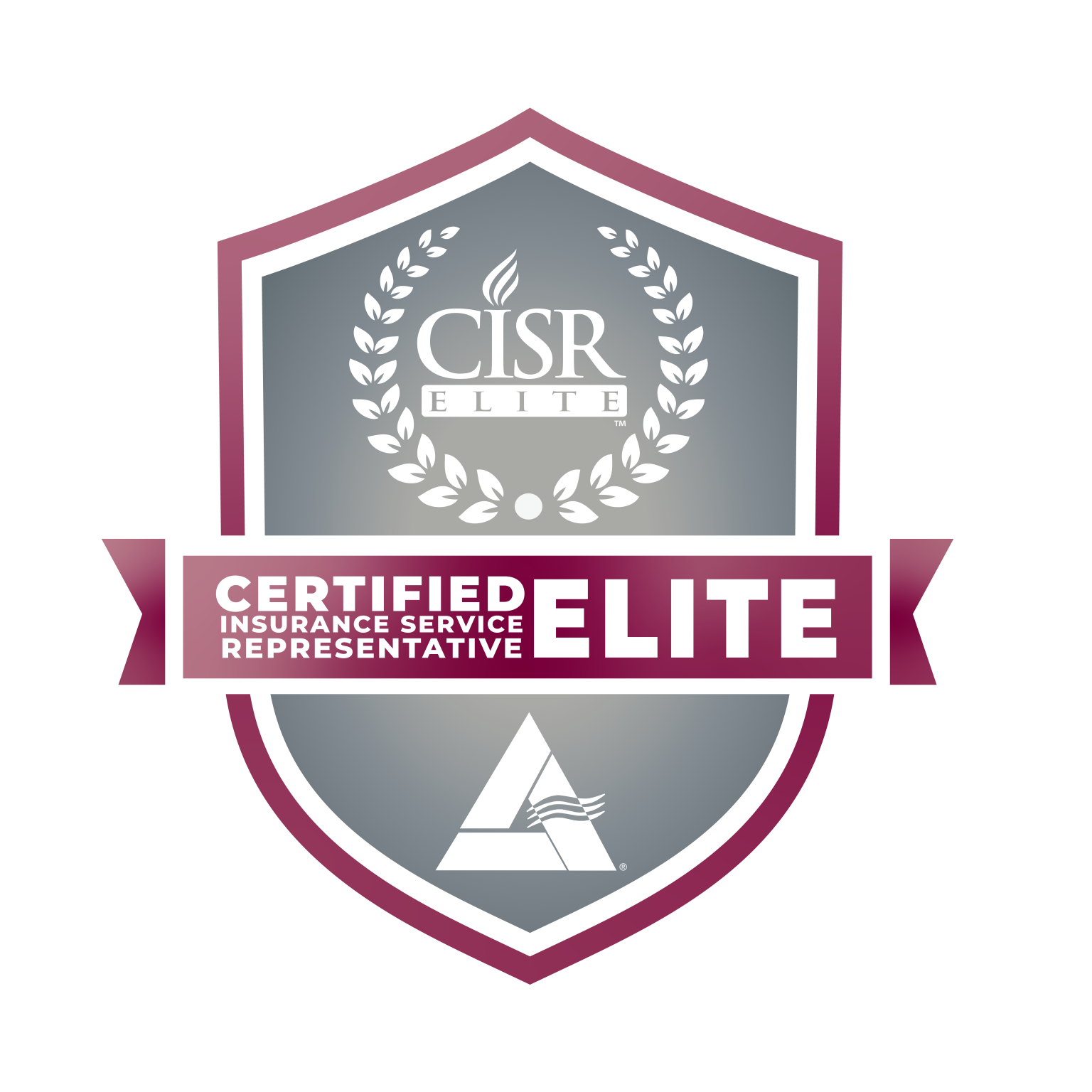 What it means to be a CISR Elite