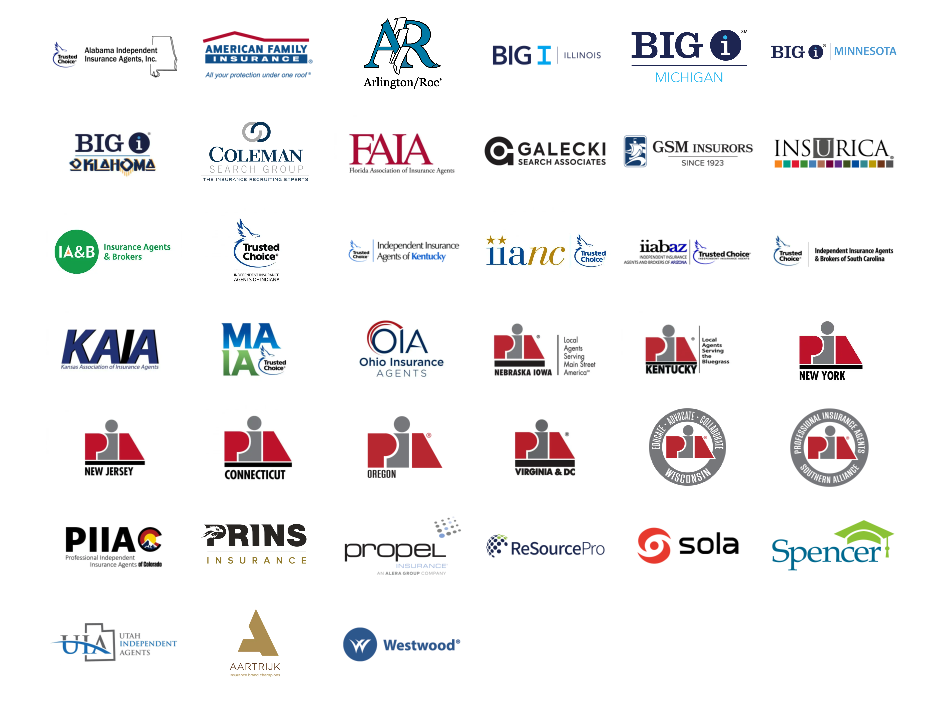 Emerging Talent Partners Program