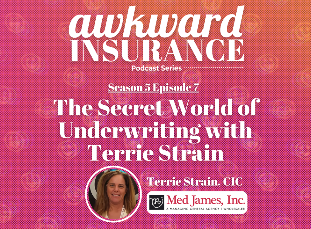 The Secret World of Underwriting with Terrie Strain Risk & Insurance ...