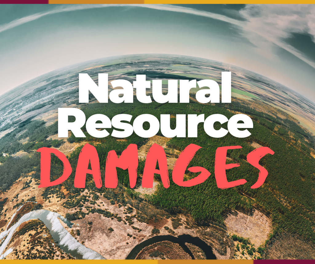 What are Natural Resource Damages In Pollution Policies?
