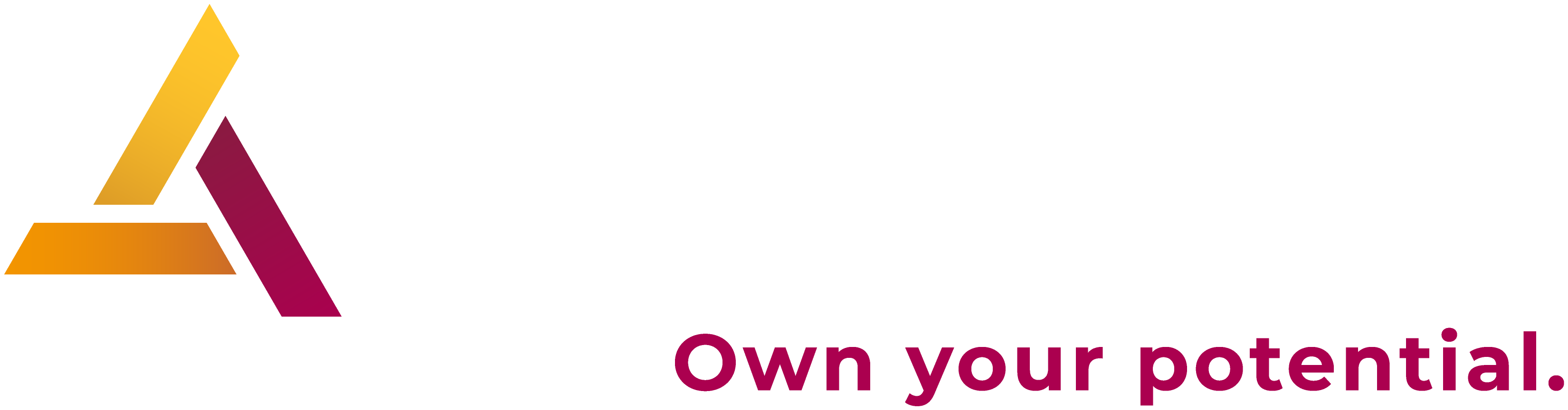 RIEA_Logo_Tagline -White Text - Risk & Insurance Education Alliance