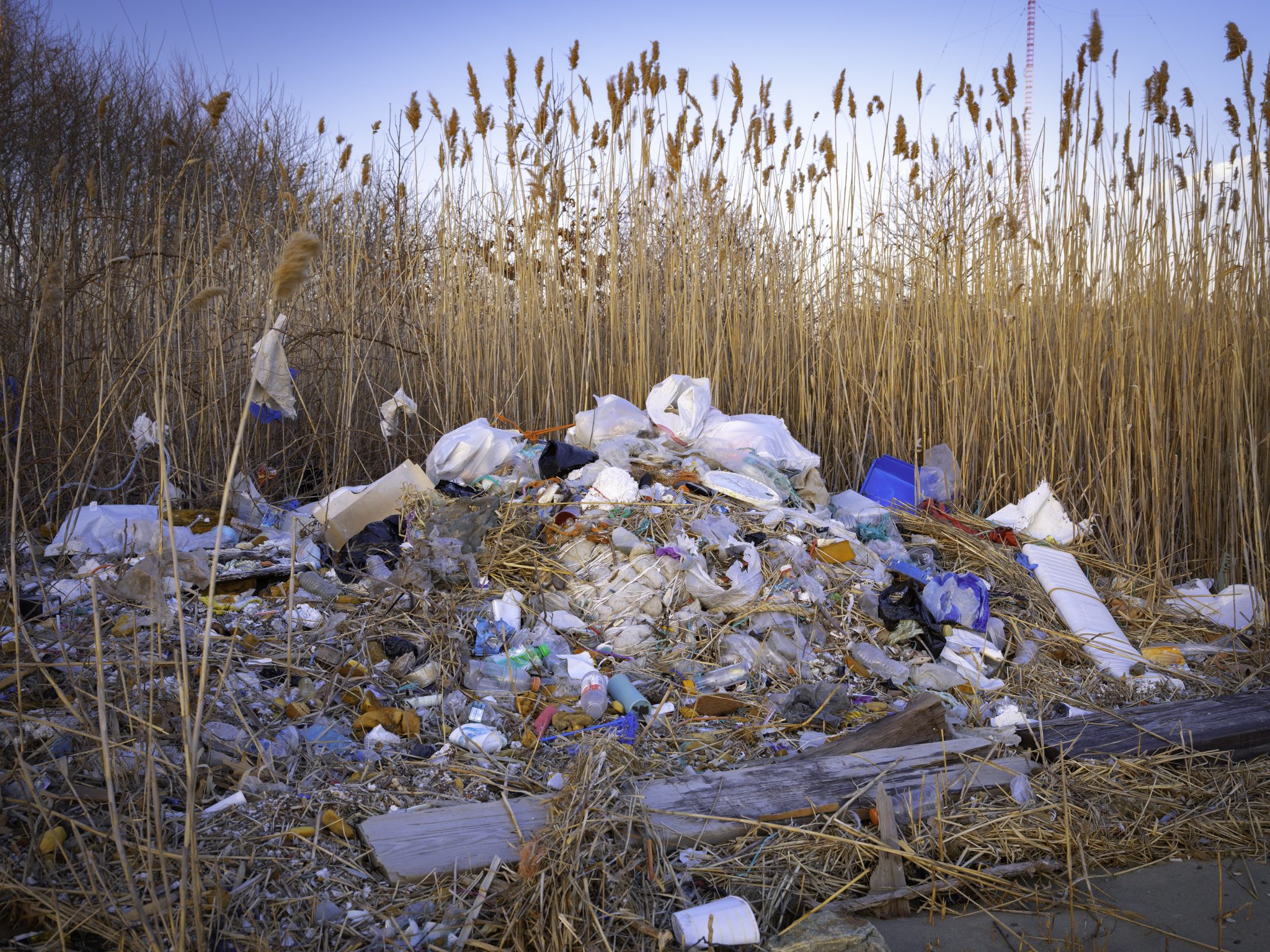 How Illegal Disposal Of Waste Can Have A Negative Impact To Your Bottom ...