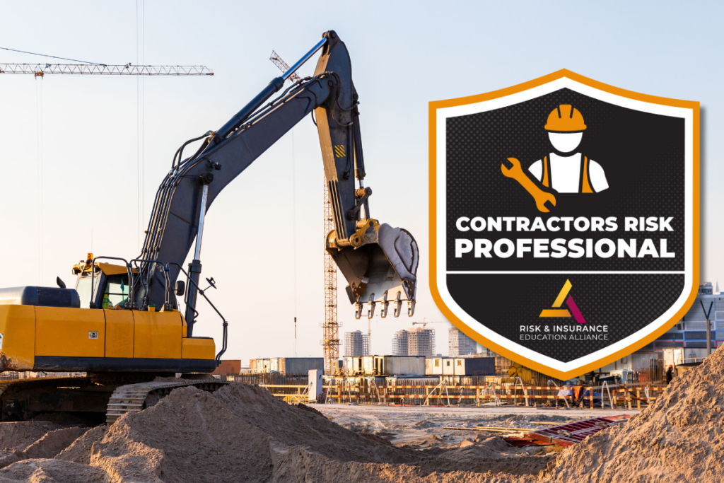 Risk & Insurance Education Alliance