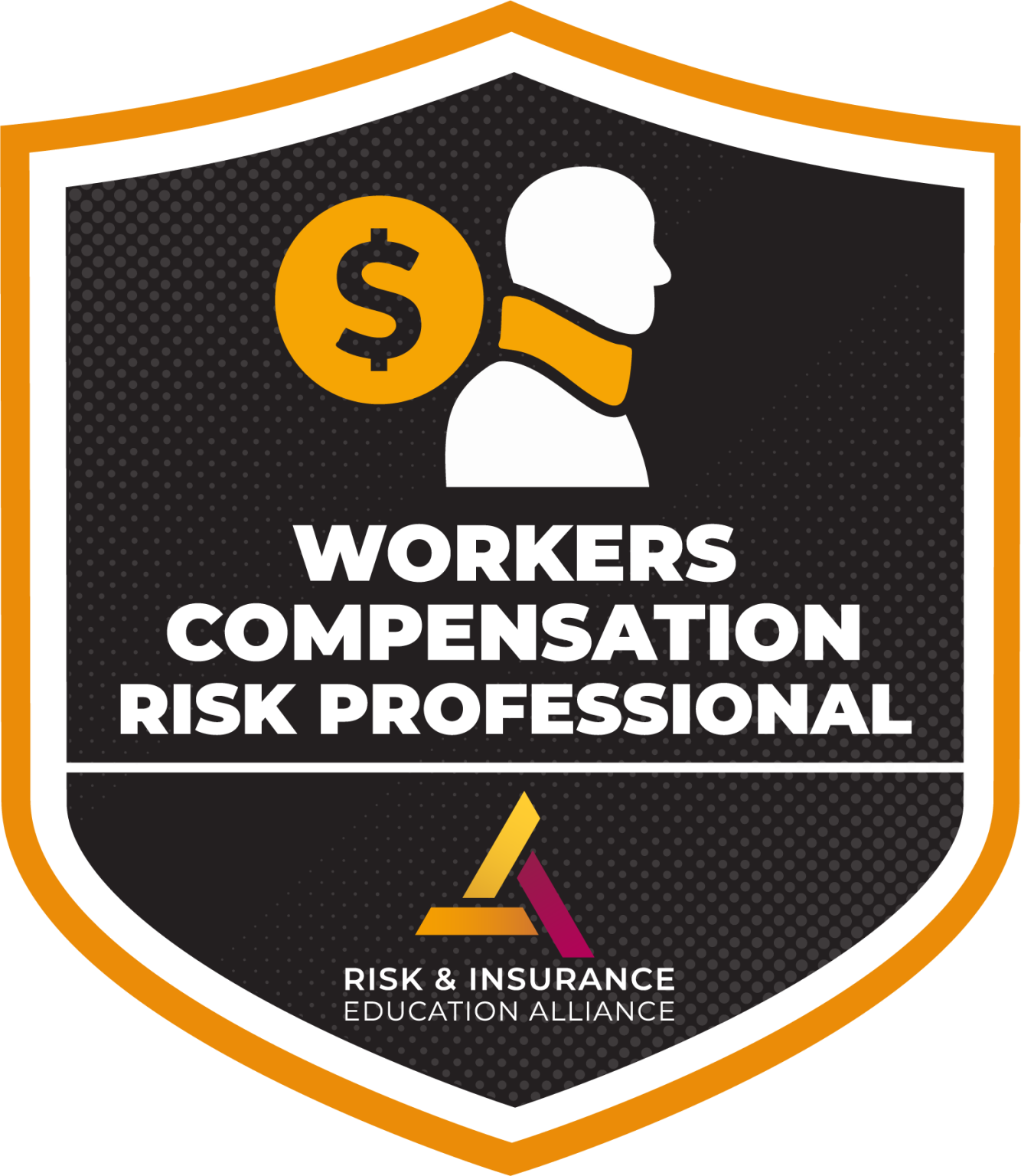 RiskPRO | Specialized Risk Management Certification Series